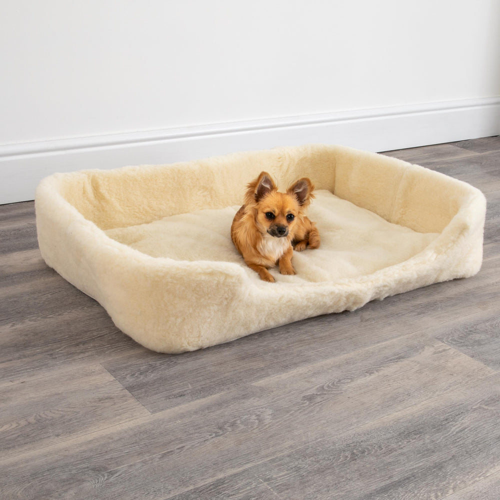Merino Wool Pet Bed - Natural (White) – Rainhall